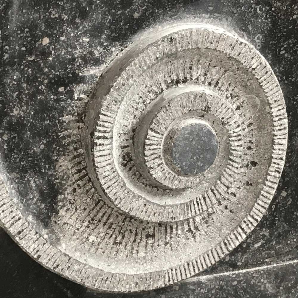 Grabstein Tor Steinmetz Mosandl | Stein und Grafik